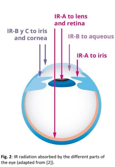 Infrared radiation: the old unknown enemy of the human eye - Horizons ...