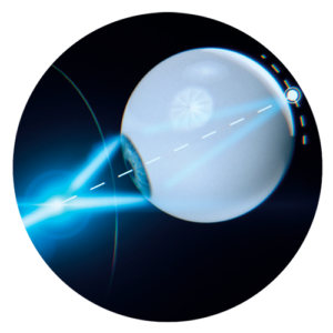 Mimesys: Focus on you