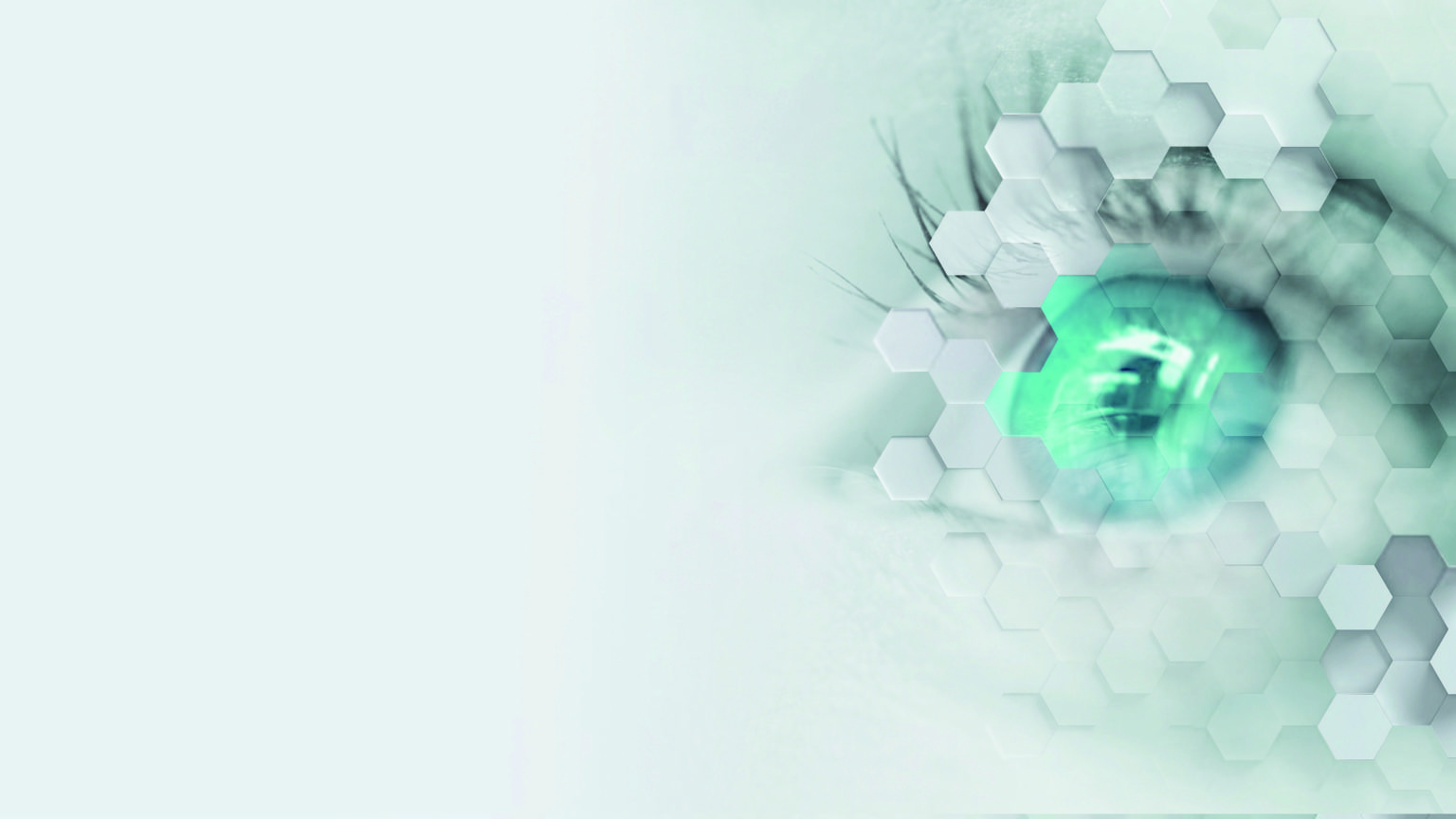 RETAIL SOLUTIONS - Horizons Optical